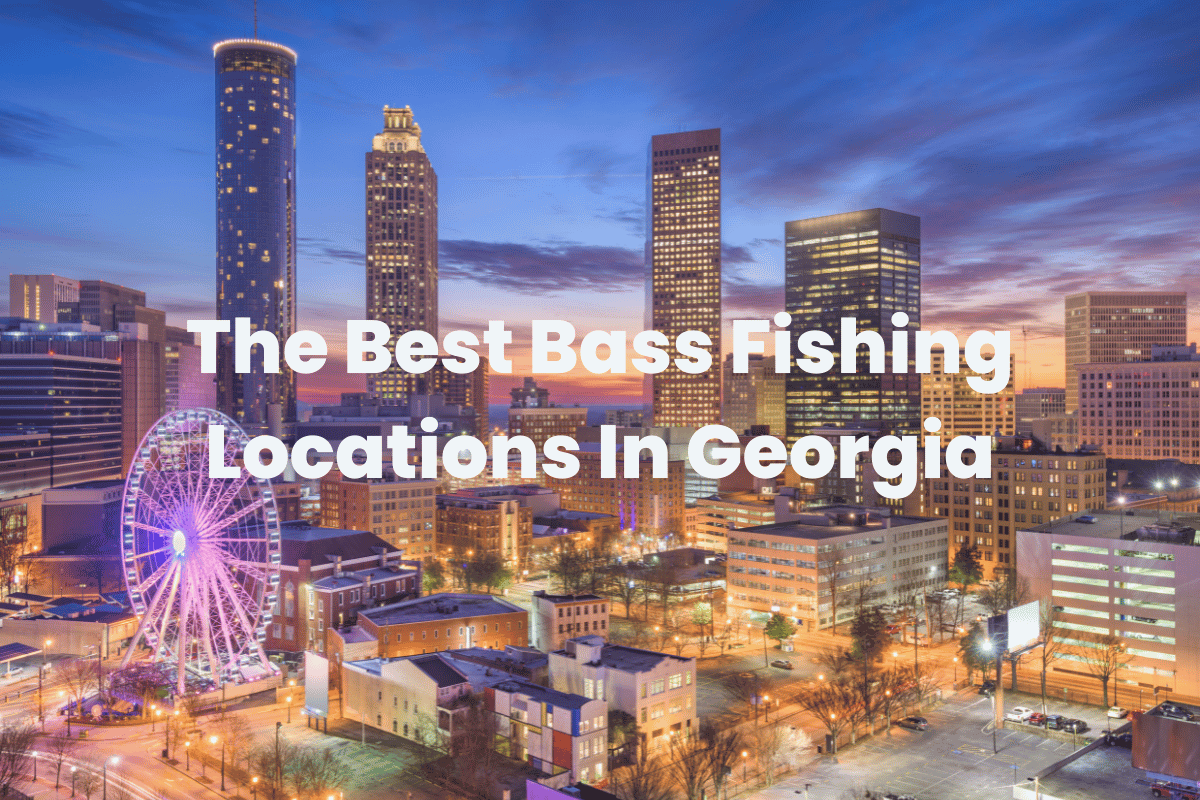 The Best Bass Fishing Locations In Georgia - FishingVista
